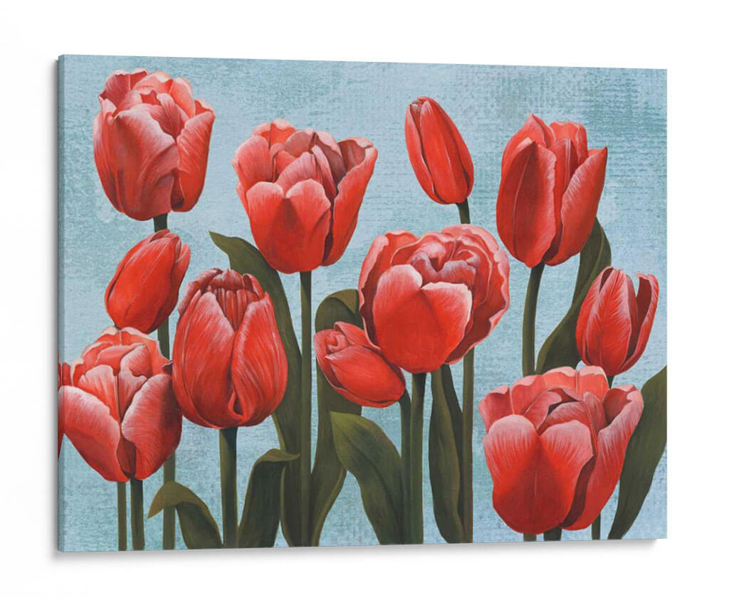 Ruby Tulips Ii - Grace Popp Cuadro Decorativo, Canvas Lab