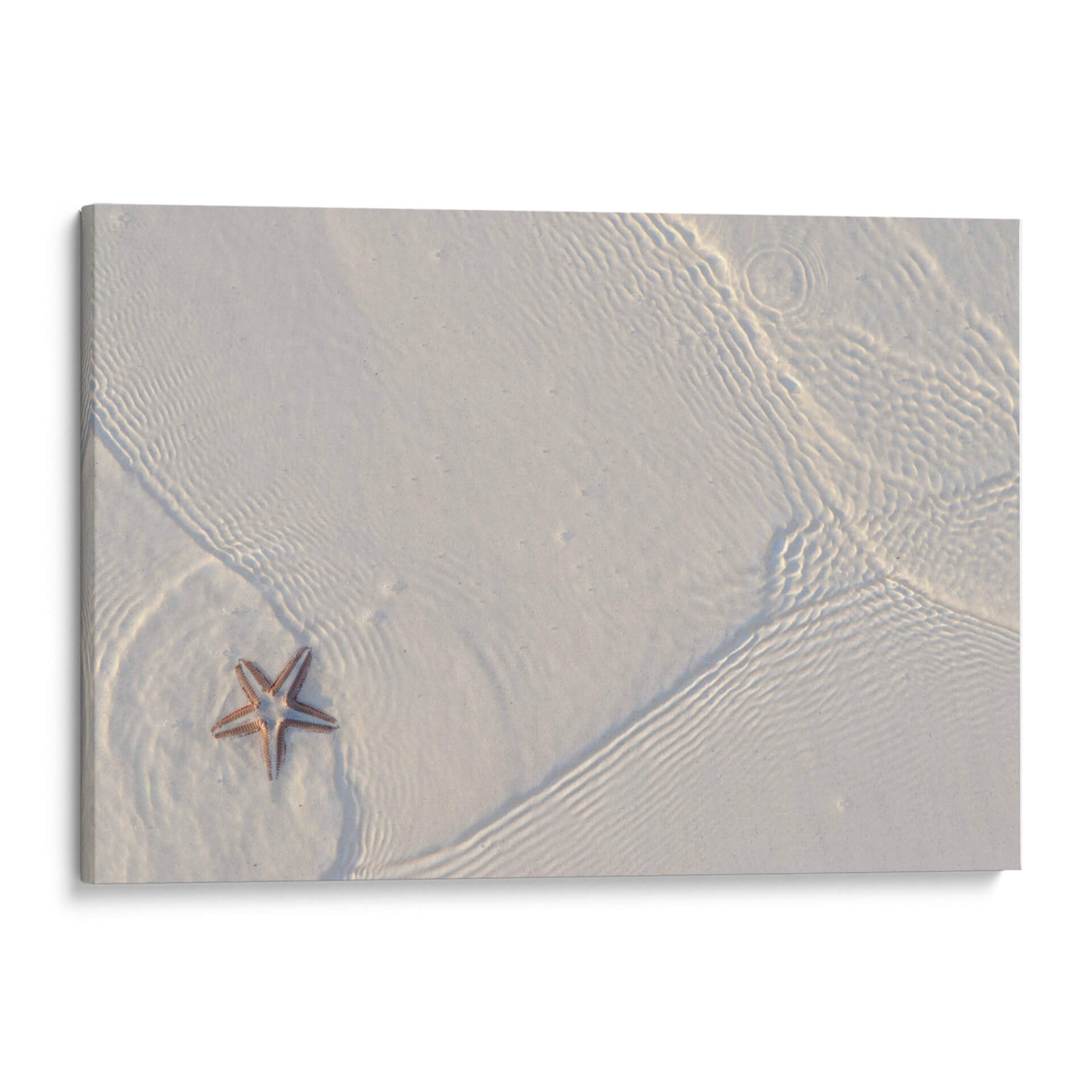 Estrella de mar en Holbox - Luis Rodrigo Magaña Andrade Cuadro ...