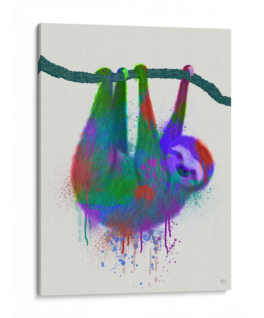 Splash Sloth Rainbow - Fab Funky Cuadro Decorativo, Canvas Lab