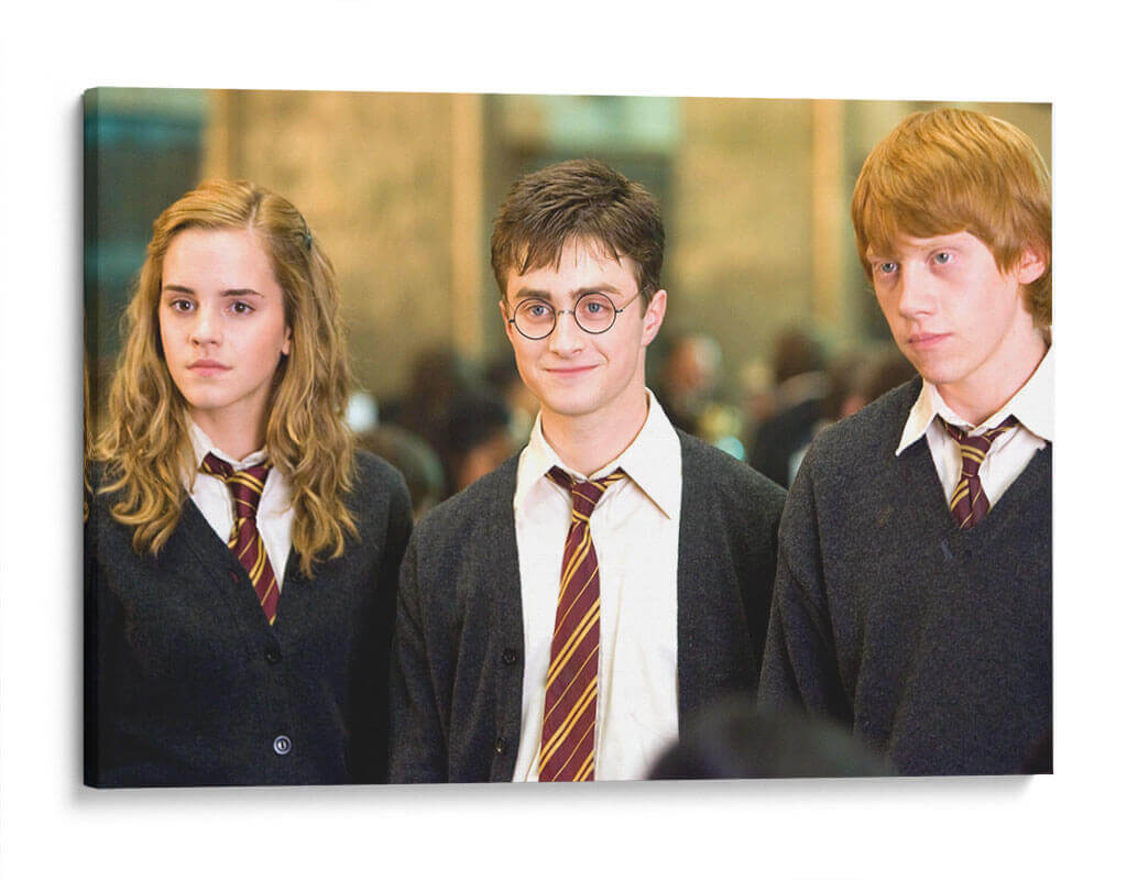 Los grandes de Gryffindor Cuadro Decorativo, Canvas Lab