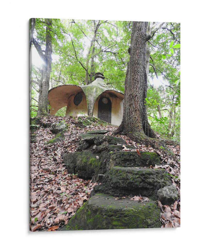 Bosque - Hugo Segura Cuadro Decorativo, Canvas Lab