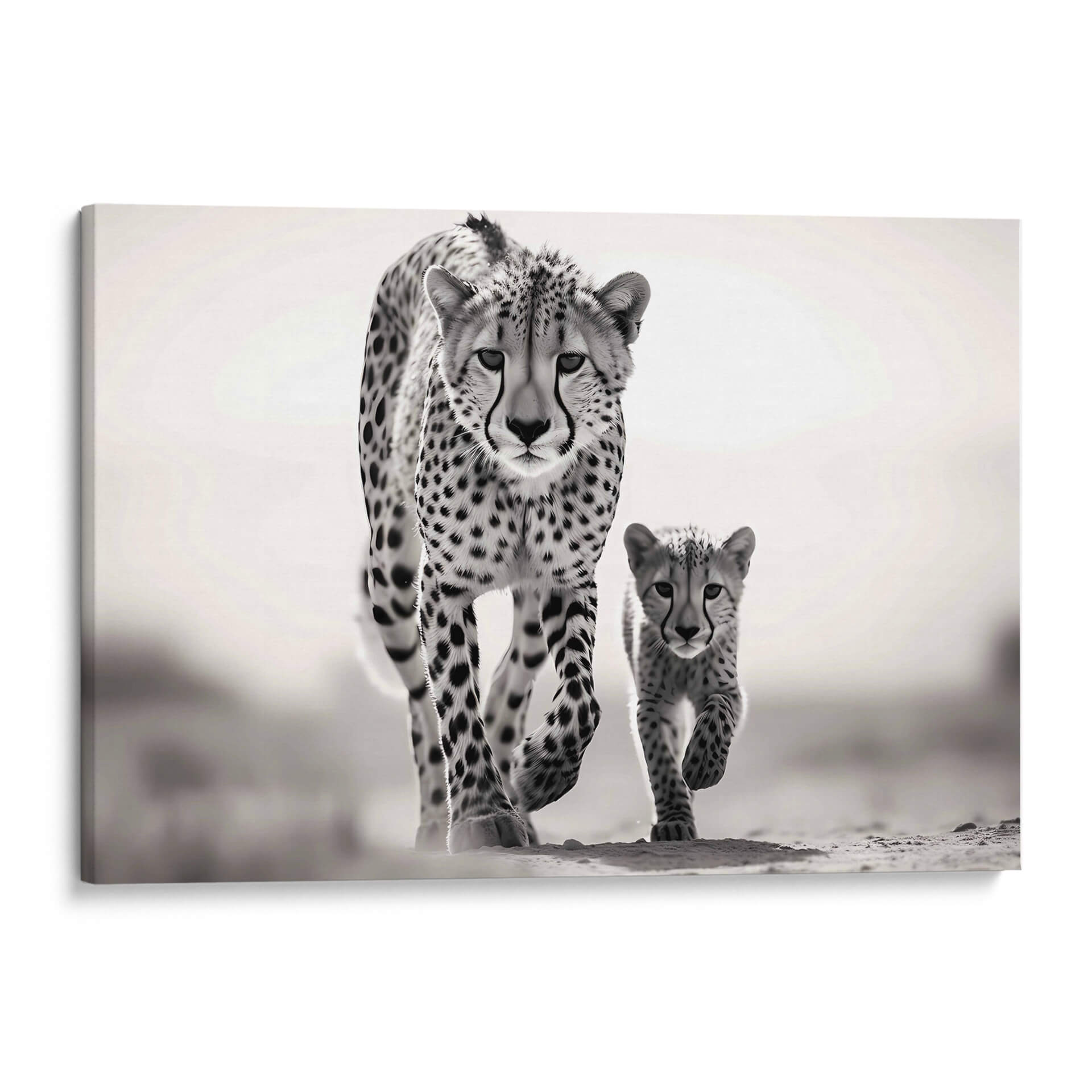 Cheetahs Caminando - Pat G Cuadro Decorativo, Canvas Lab