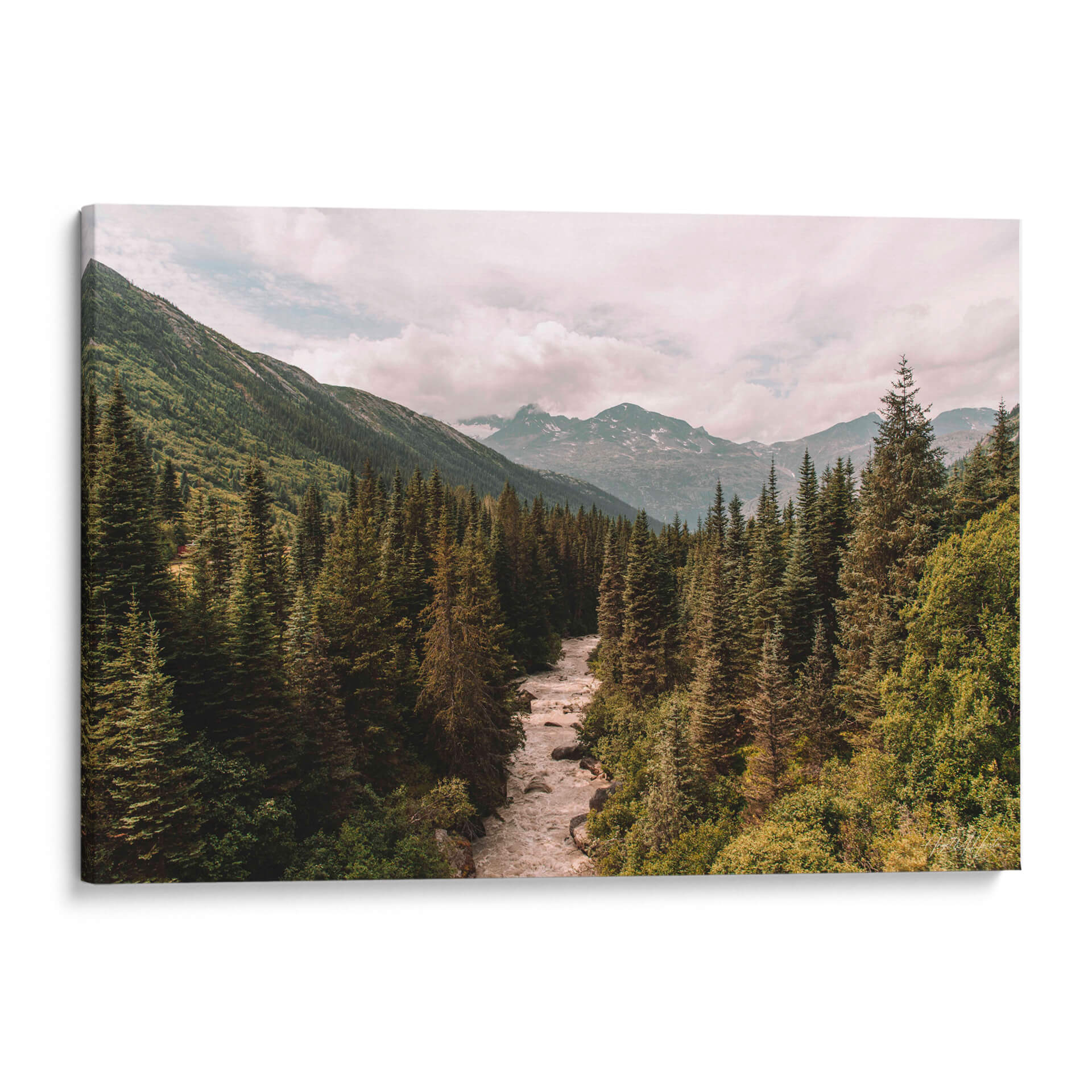 Skagway Forest - Ángel M. Huerta Cuadro Decorativo, Canvas Lab